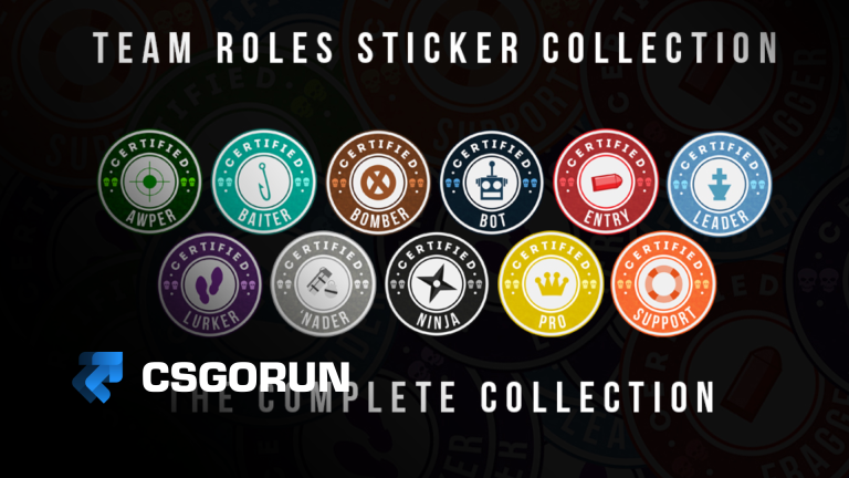 Какие роли есть в про-команде CS2 в 2025 году - Блог CSGORUN